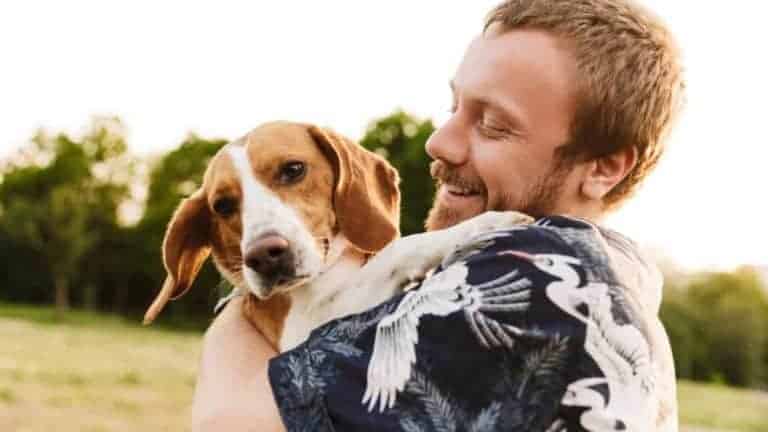 How to Stop Your Beagle From Pulling on the Leash (Solved!) - Yolo Pooch